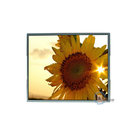 17&quot; Sunlight Readable Monitor With IR Touch Screen , 12V Sunlight Readable LCD  Display